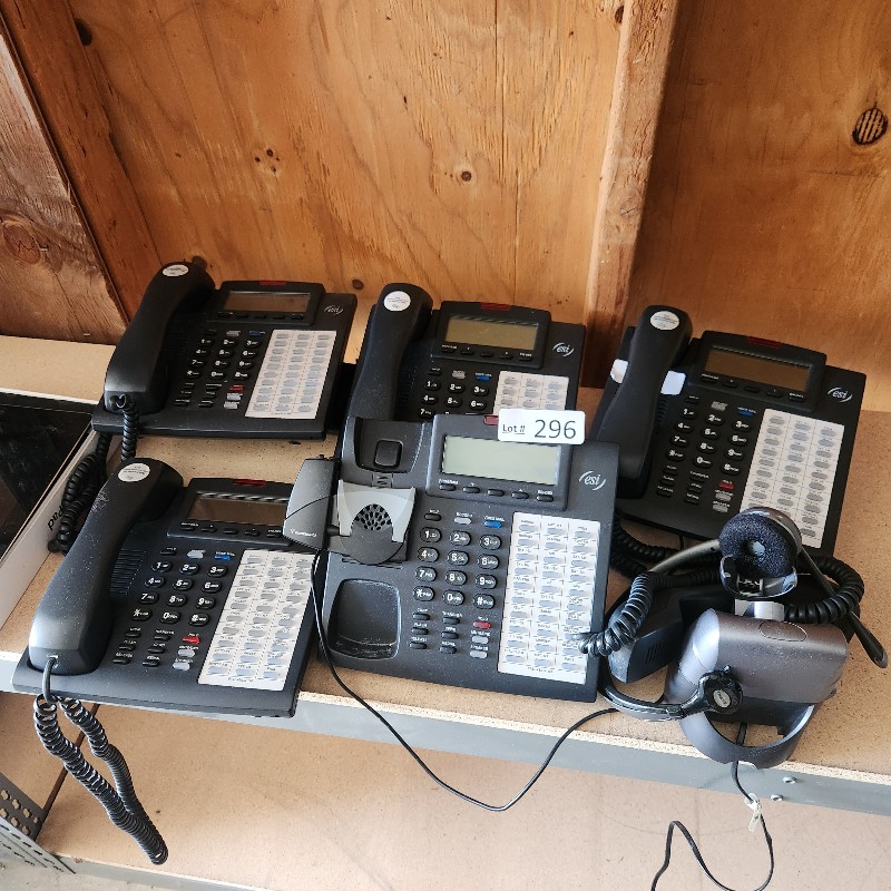 L296- esi phones - Leftover Treasures