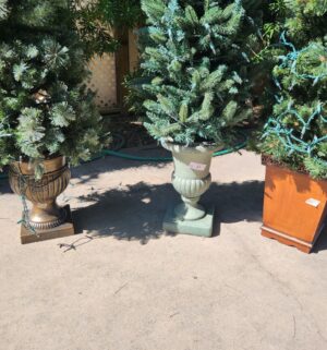 g11- Lighted Trees. Good Shape - Leftover Treasures