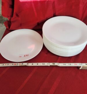 w177- Set of 20 Corelle Plates - Leftover Treasures