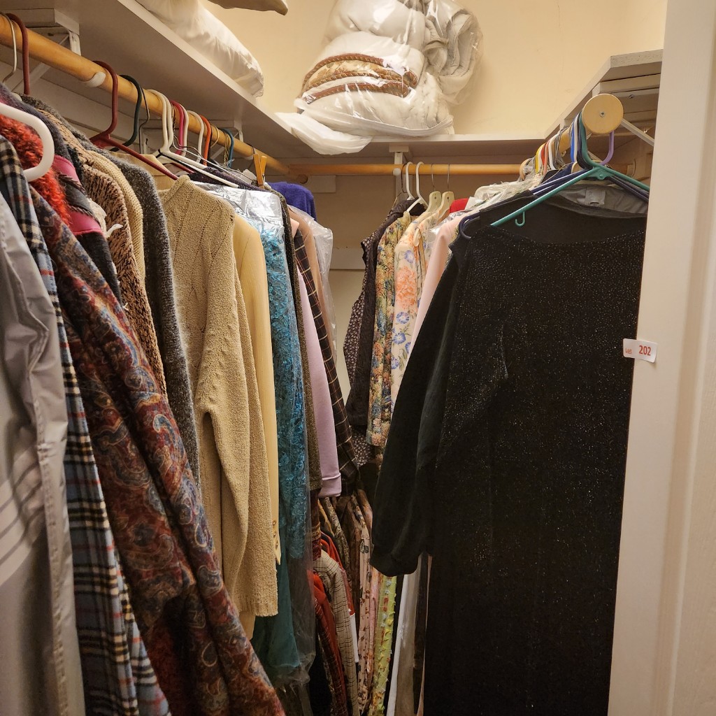 See Video for full details a202- Closet of Womens Clothing. - Leftover ...