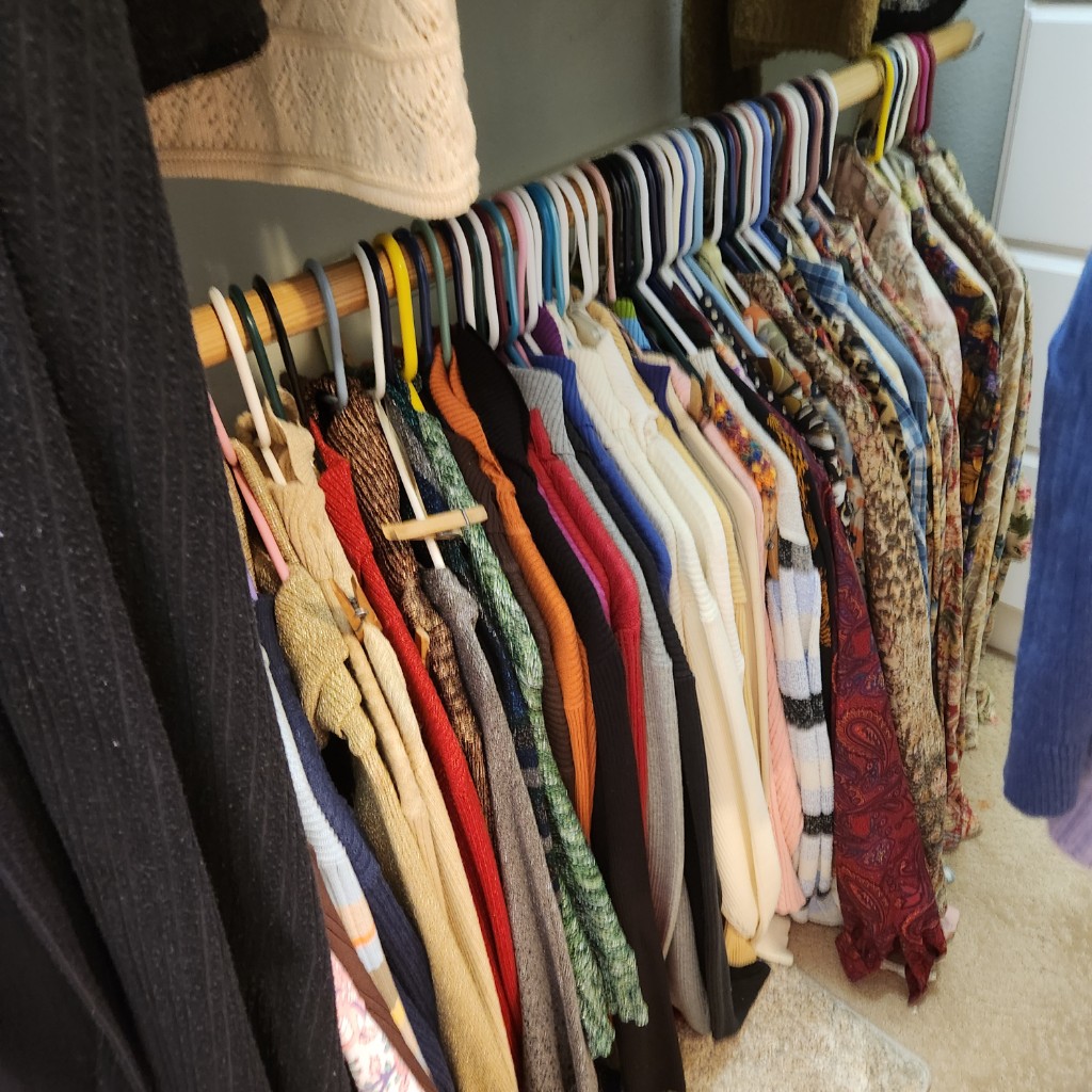 See Video for full details a203- Closet of Womens Clothing. - Leftover ...