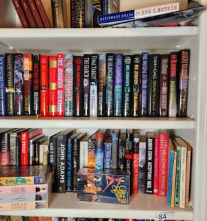 b84- MASSIVE Collection of books. Over 500 books! Buyer to load and box ...