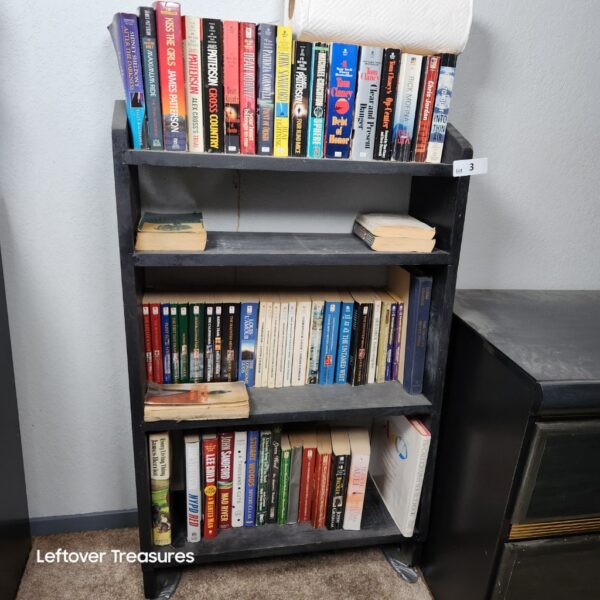 a2- All books on bookcase - Leftover Treasures