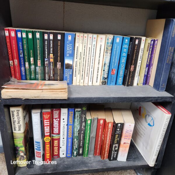 a2- All books on bookcase - Leftover Treasures